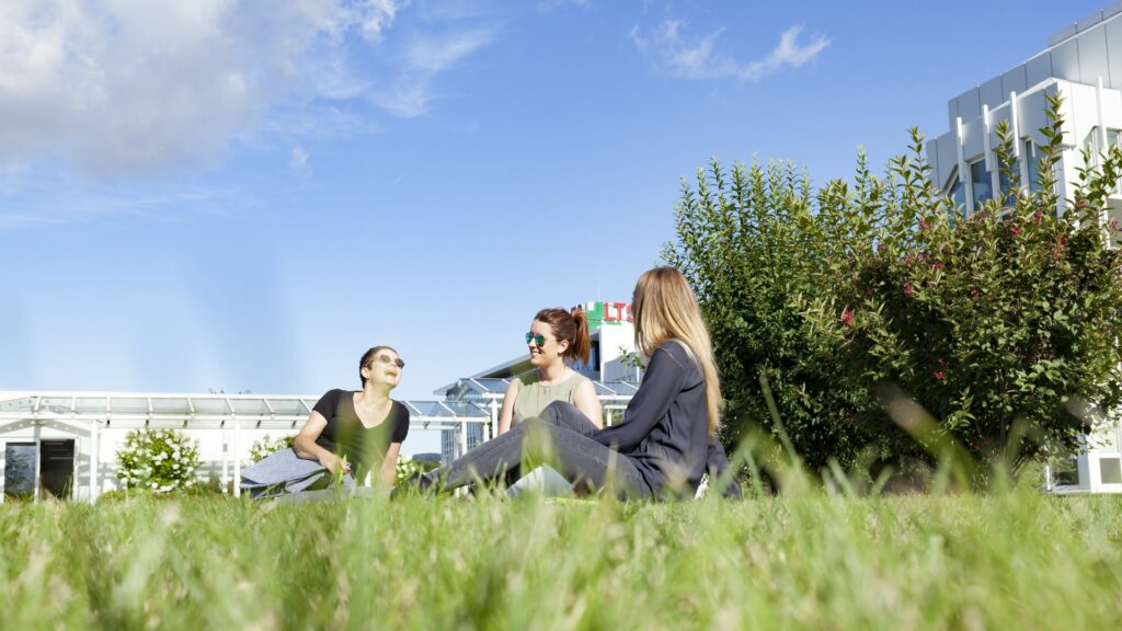 LTS Transdermal Therapeutic Systems